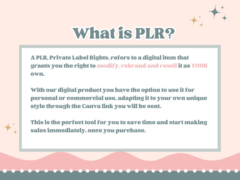 Canva Crash Course Ultimate PLR Bundle. Course Plus 5 Done for You DFY ...