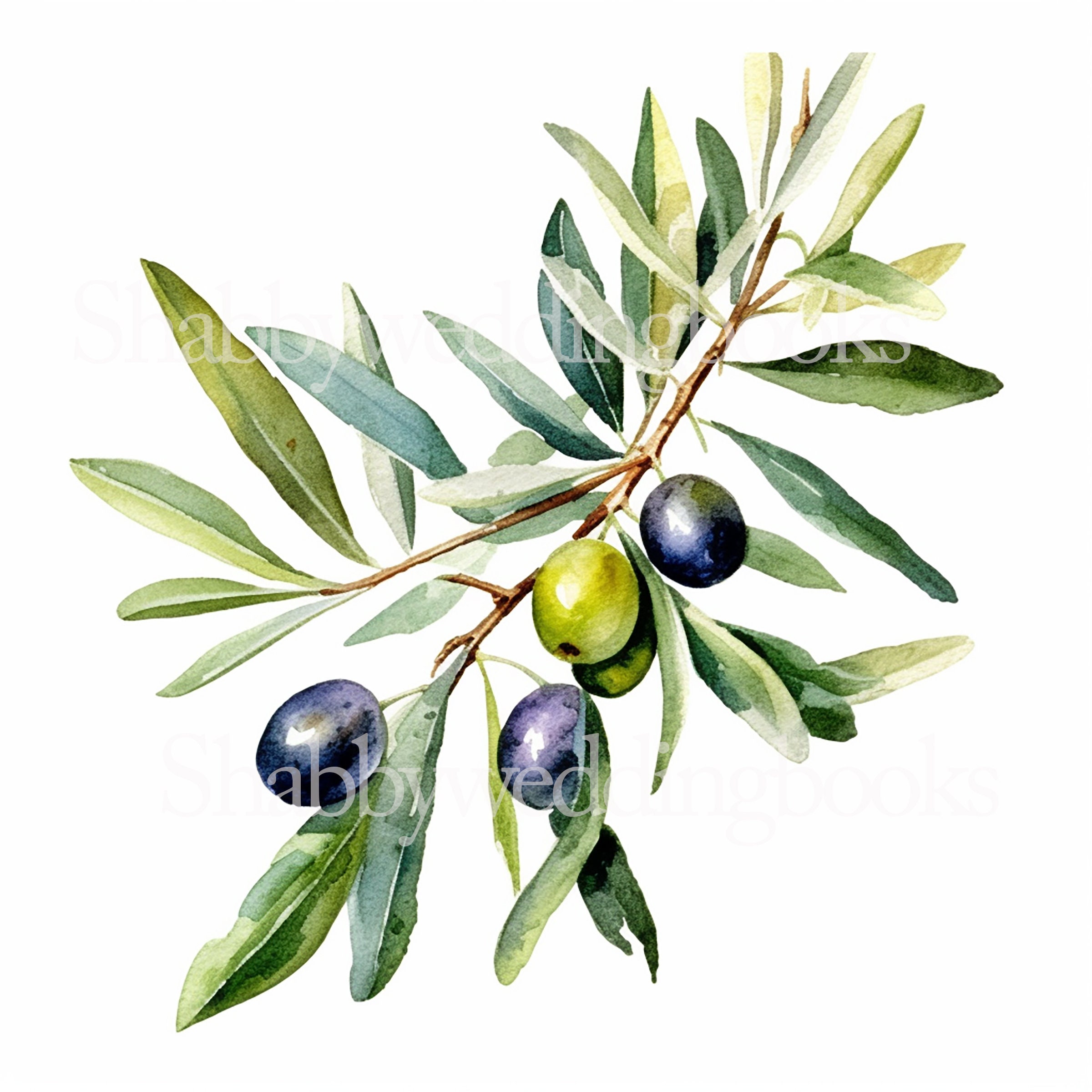 3 Olive Branch Digital Downloads, 2 Jpgs and 1 Png File Formats ...