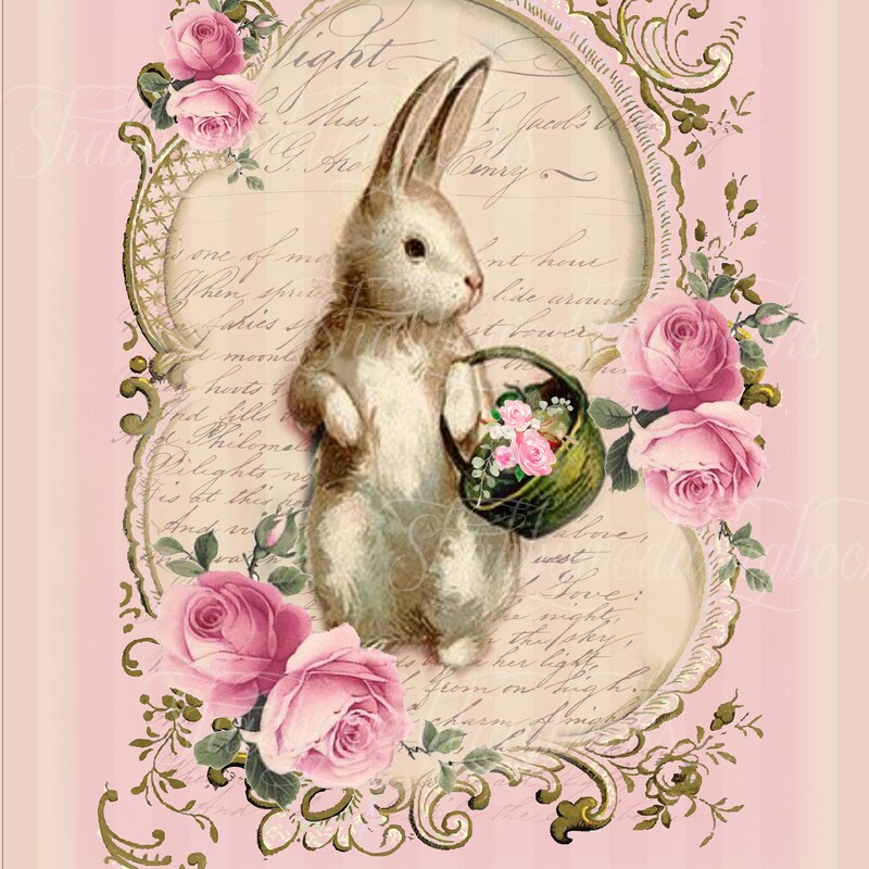 French Rabbit Image - Etsy