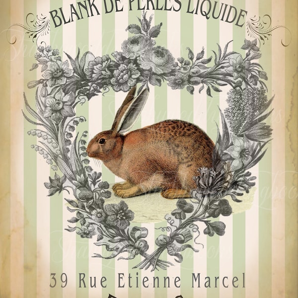 French Rabbit Image - Etsy
