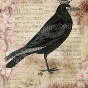 6 Scrapbooking Sheets for Journals, Craft Projects, Birds & Bees Paper ...