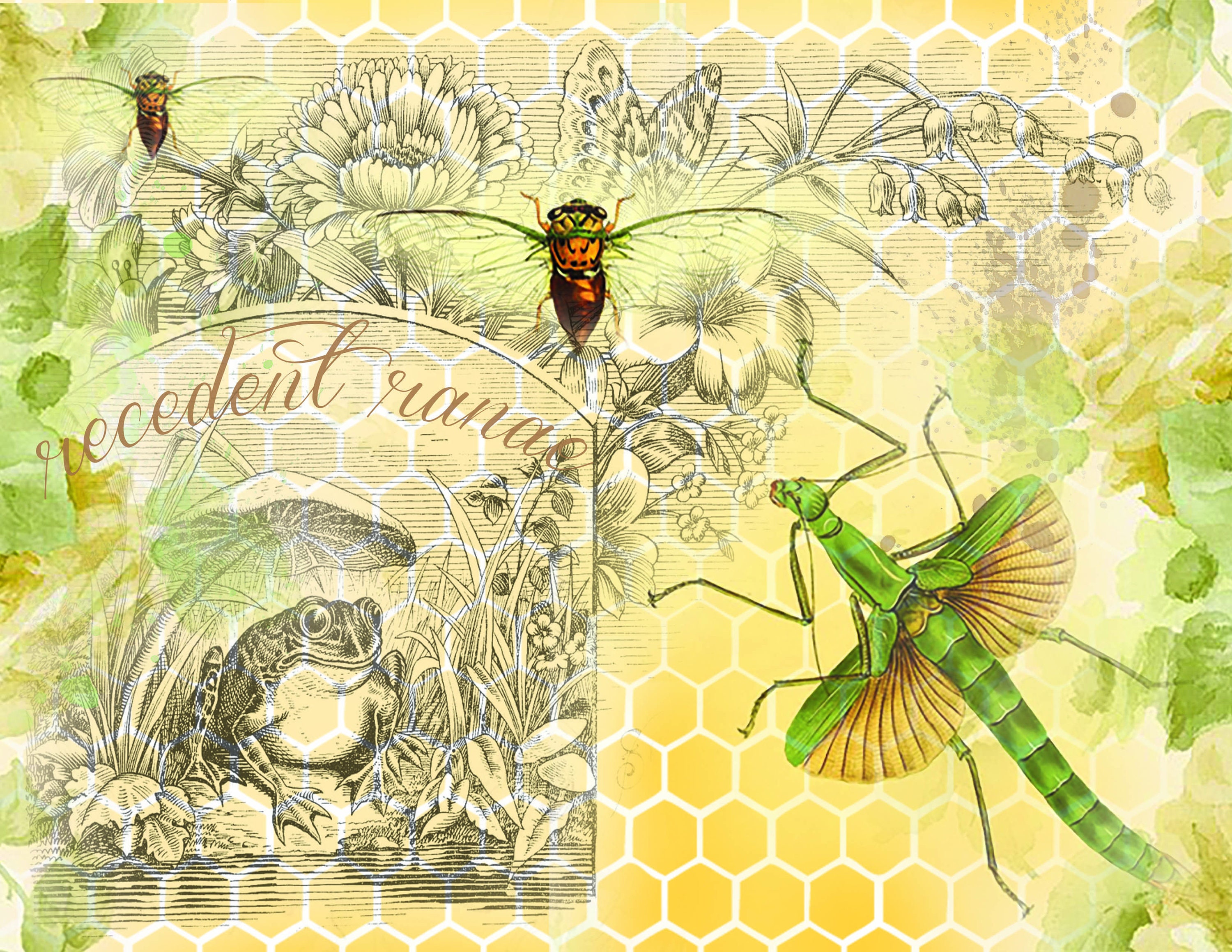 5 Bee and Insect Themed Digital Papers Vintage Paper Theme, Digital ...