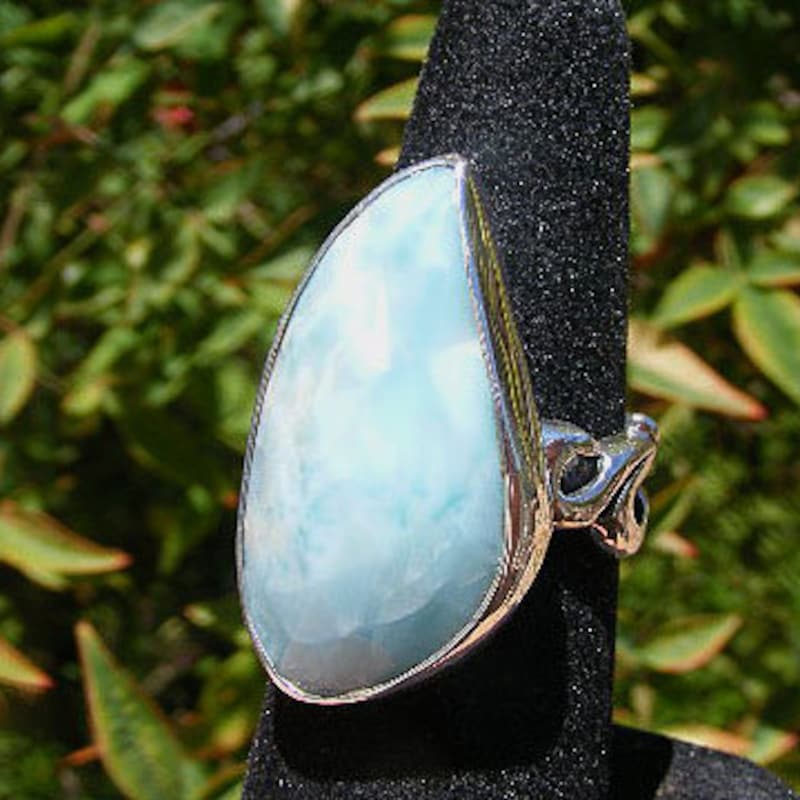Dolphin Stone - Etsy