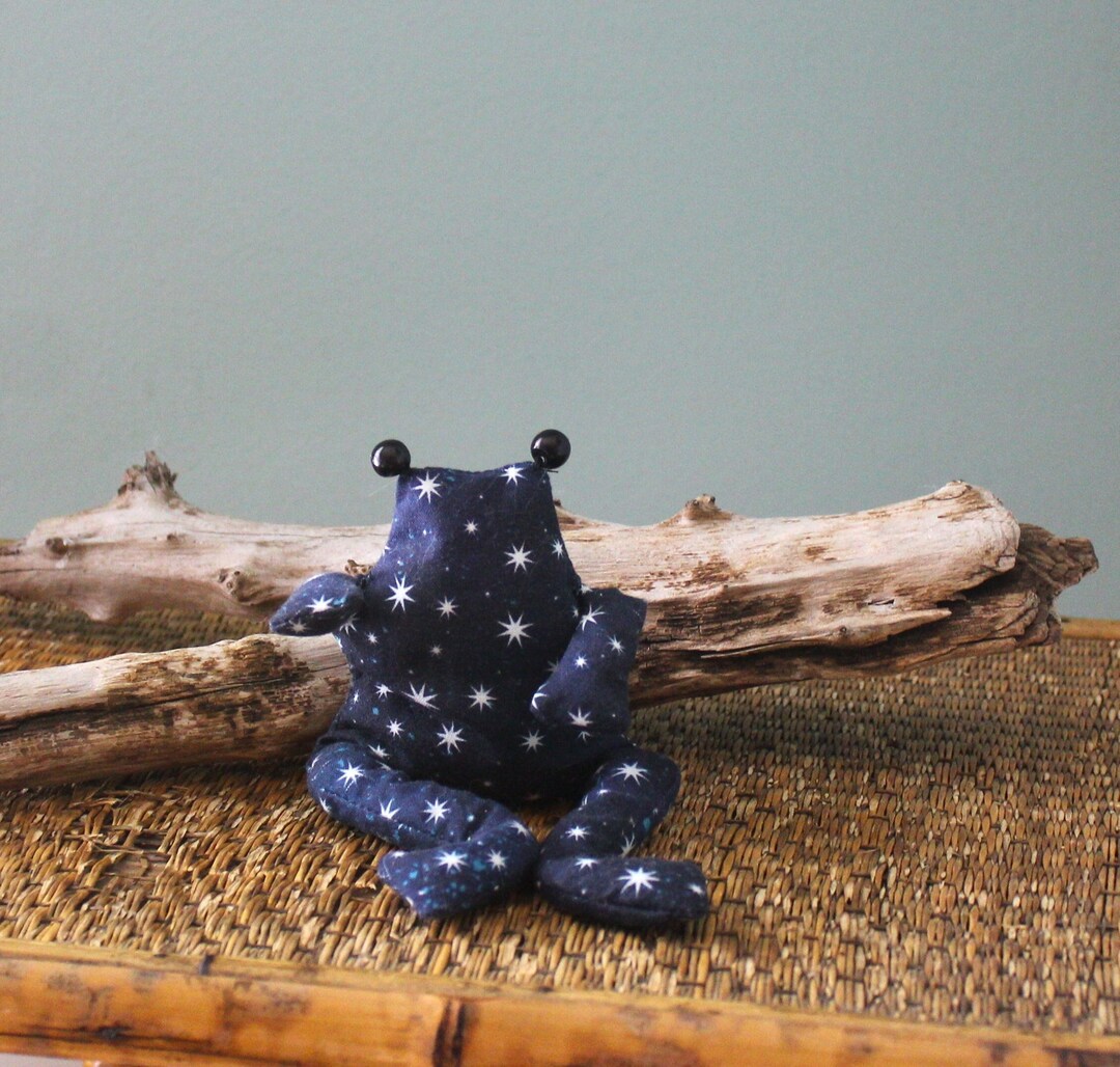 Galileo the Therapy Frog - Etsy