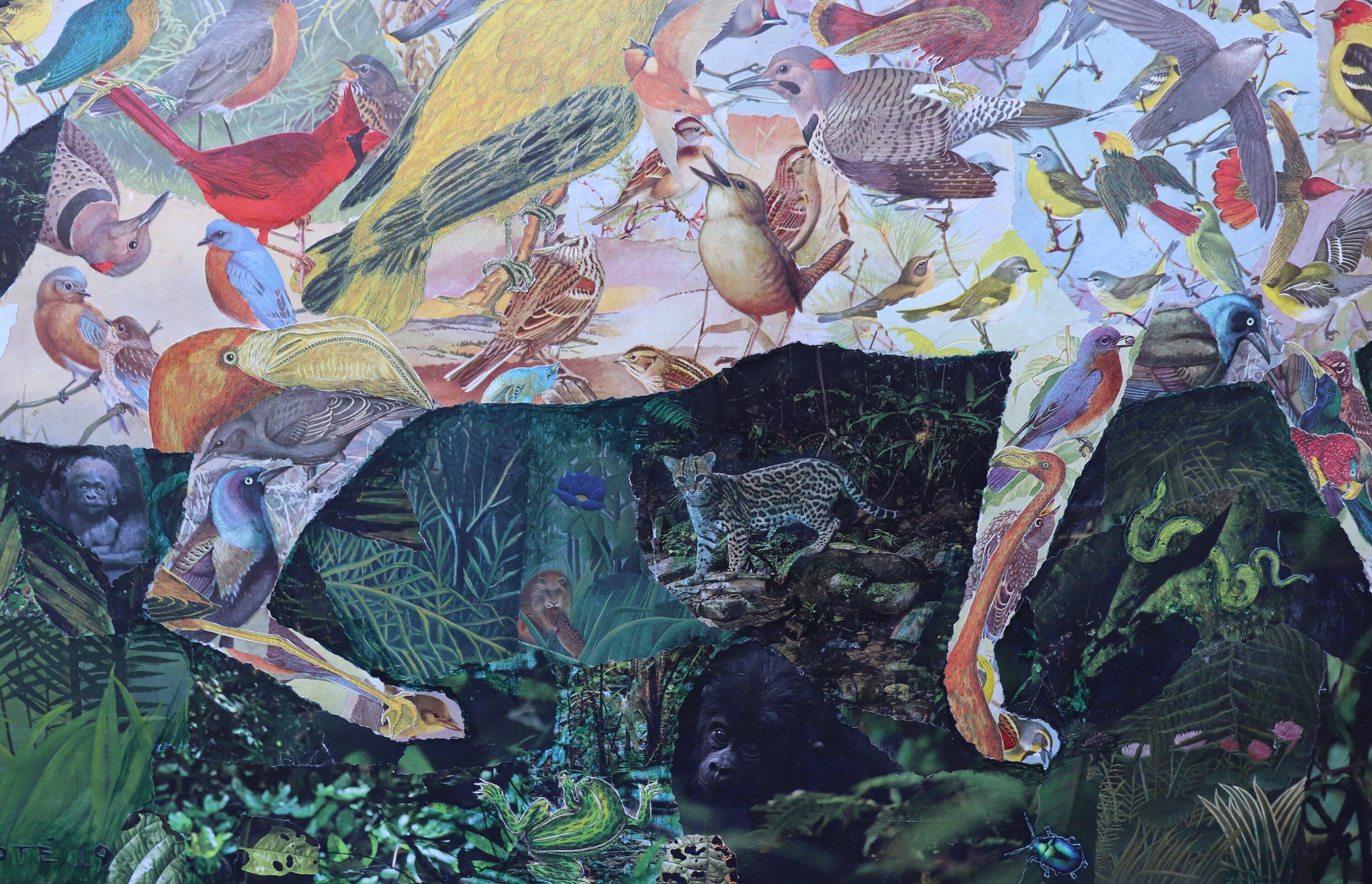 Cat In Paradise, collage art, limited edition giclee print, signed and ...