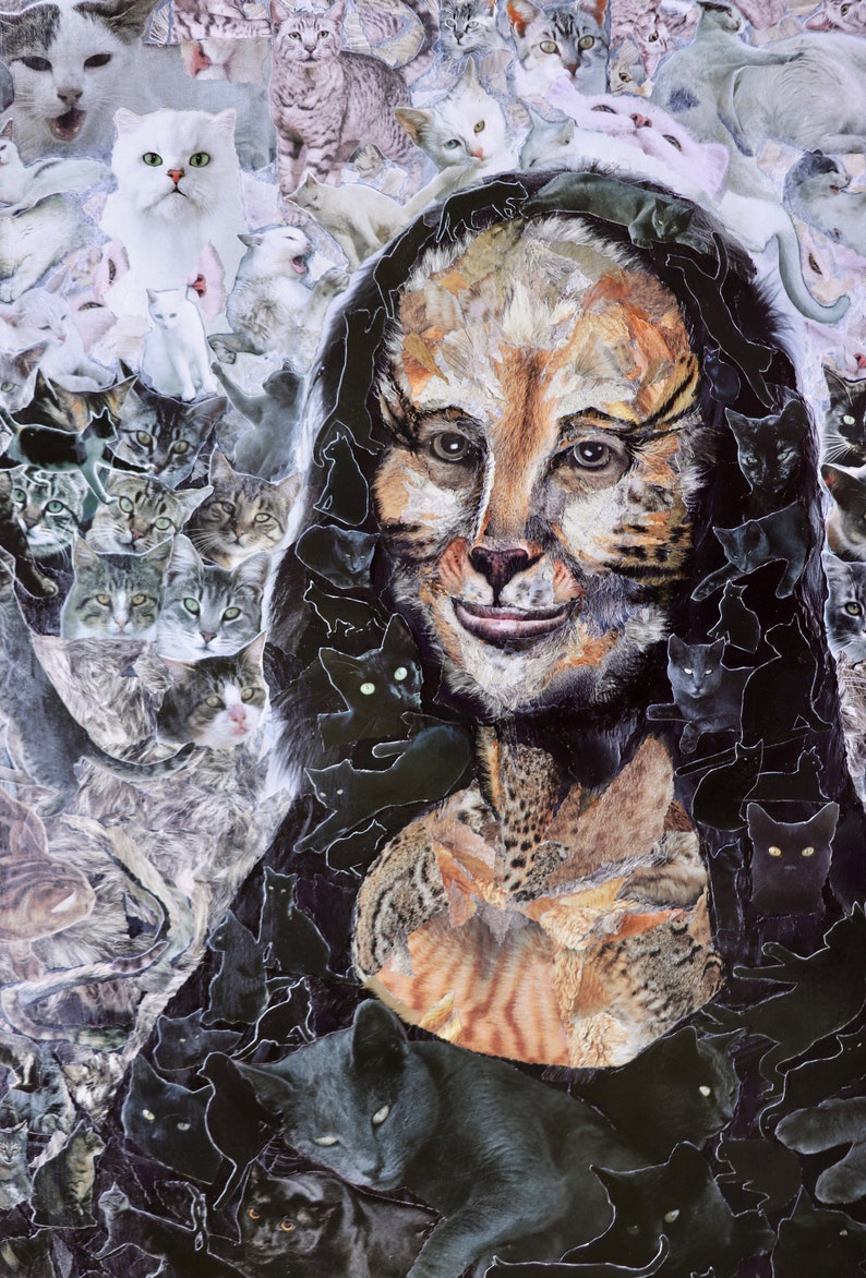 Lisa the Crazy Cat Lady, Meowna Lisa, Leonardo Da Vinci, Mona Lisa, Pop ...