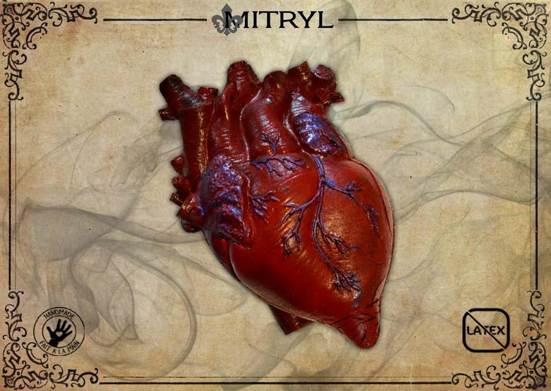 Foam LARP Anatomical Human Heart: Cosplay Prop *TARIFF INCLUDED* - Etsy