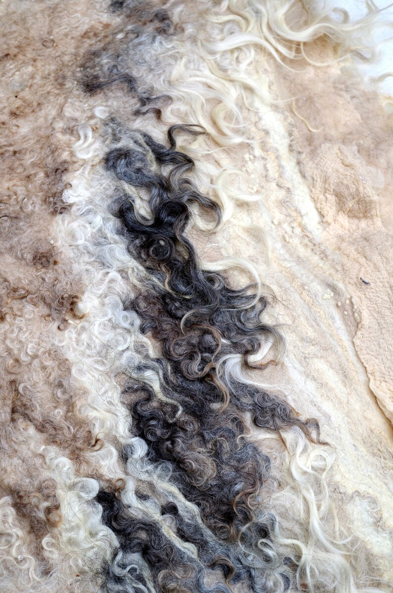 Felt Design Wearable Art Light Silk Cape Fleece Lock Textured - Etsy Canada