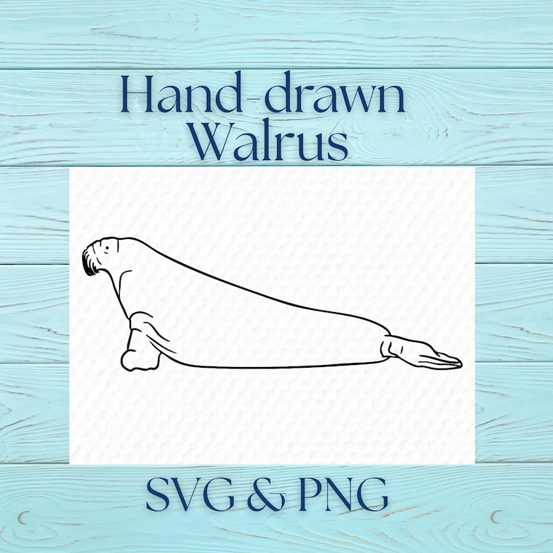 Walrus SVG & PNG Clipart | for Lasers, Stickers, and More! - Etsy