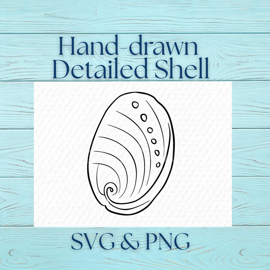 Hand-drawn Abalone Shell SVG & Clipart - Etsy