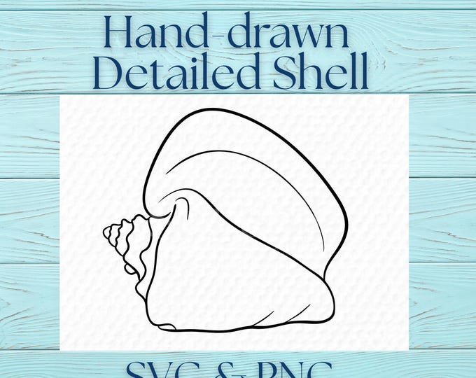 Horse Conch Shell Clip Art SVG - Etsy Canada