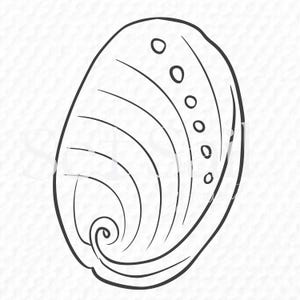 Hand-drawn Abalone Shell SVG & Clipart - Etsy