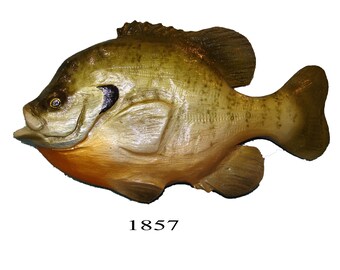 Shellcracker Art | Etsy