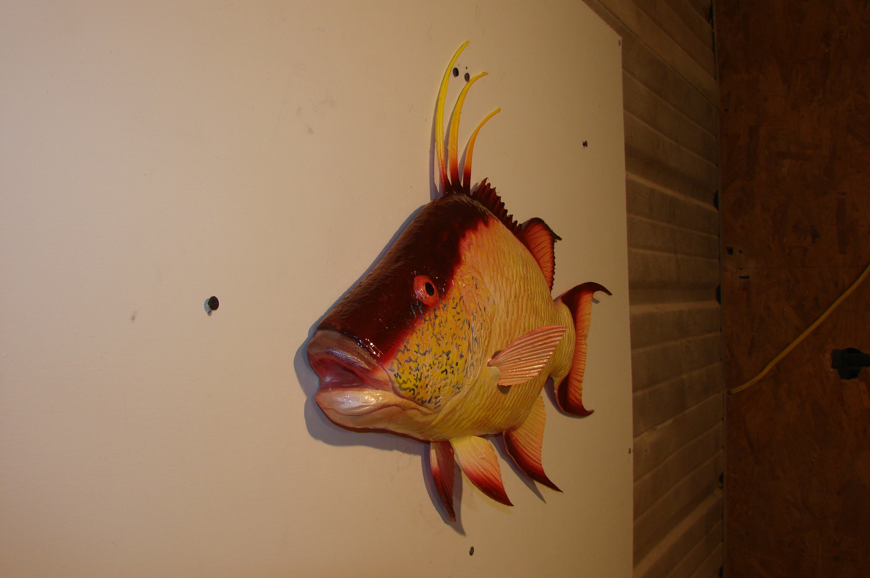 Hogfish Hand Carved Replica Wall Mount Sculpture Taxidermy Trophy Art ...