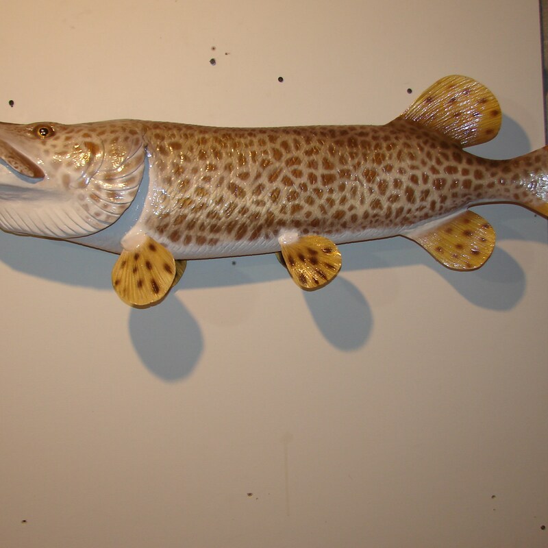 Muskie - Etsy