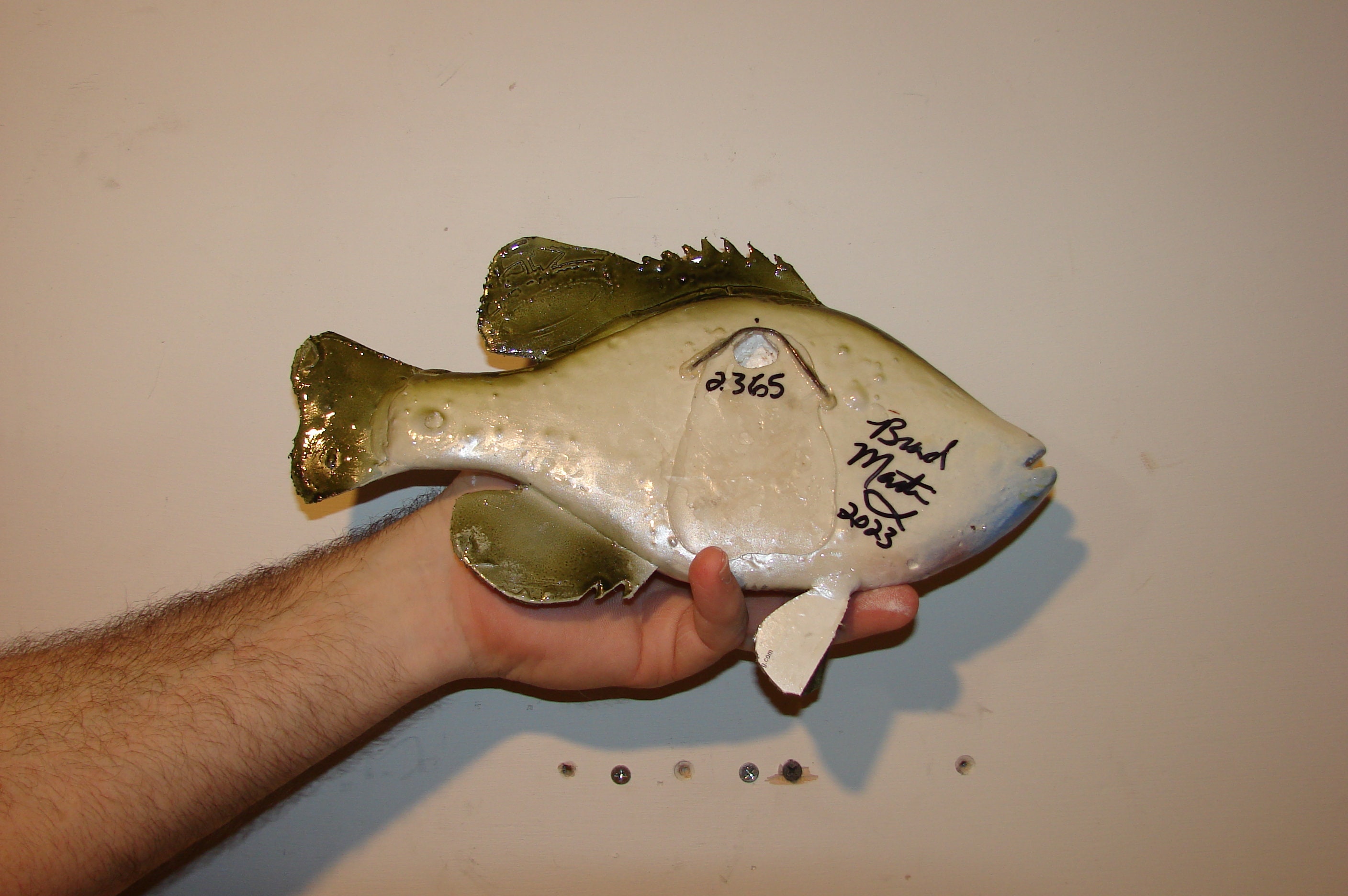 Bluegill 1/2 Mount Hand Carved Shellcracker Perch Bream Bass - Etsy