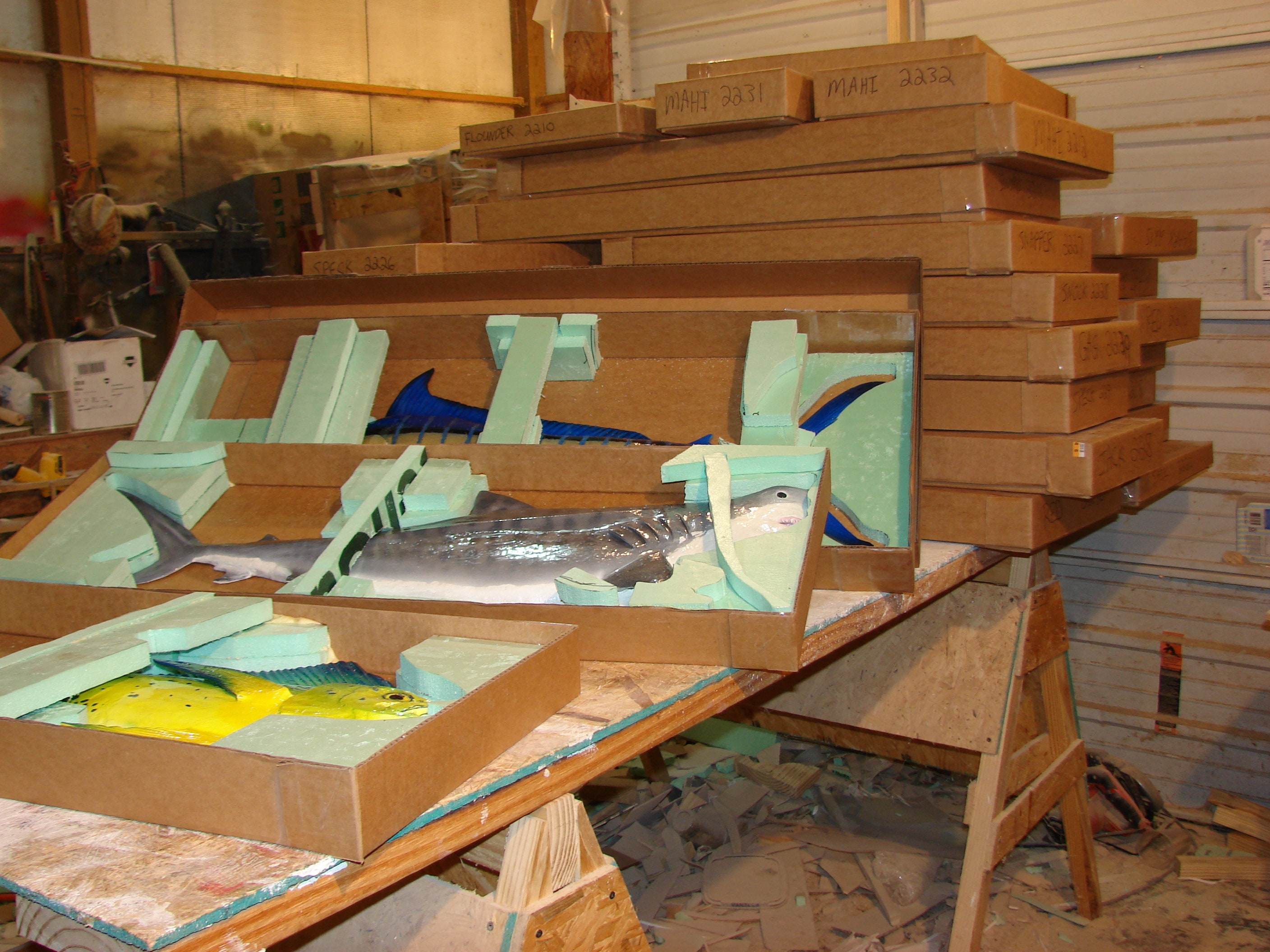 Amberjack Hand Made Wall Art Fish Mount Taxidermy Trophy - Etsy