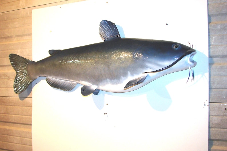 Catfish Carving Wall Mount Rustic Cabin River Lake Fish Wall Art Home ...