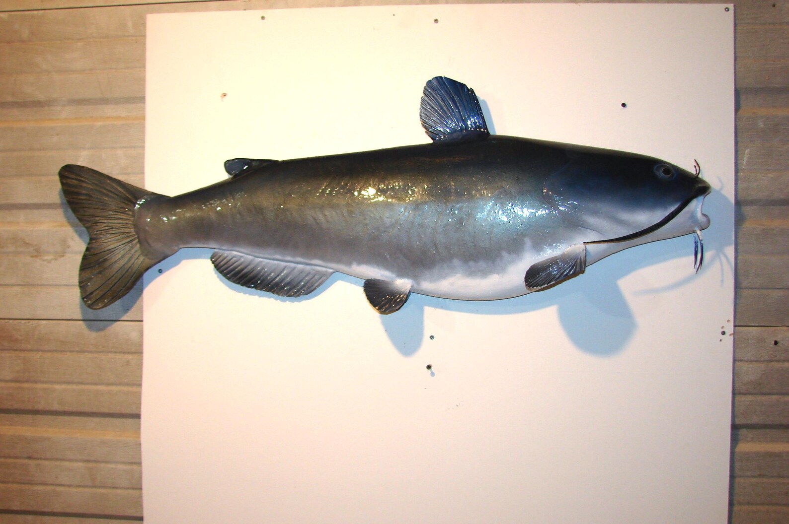 Catfish Carving Wall Mount Rustic Cabin River Lake Fish Wall Art Home ...