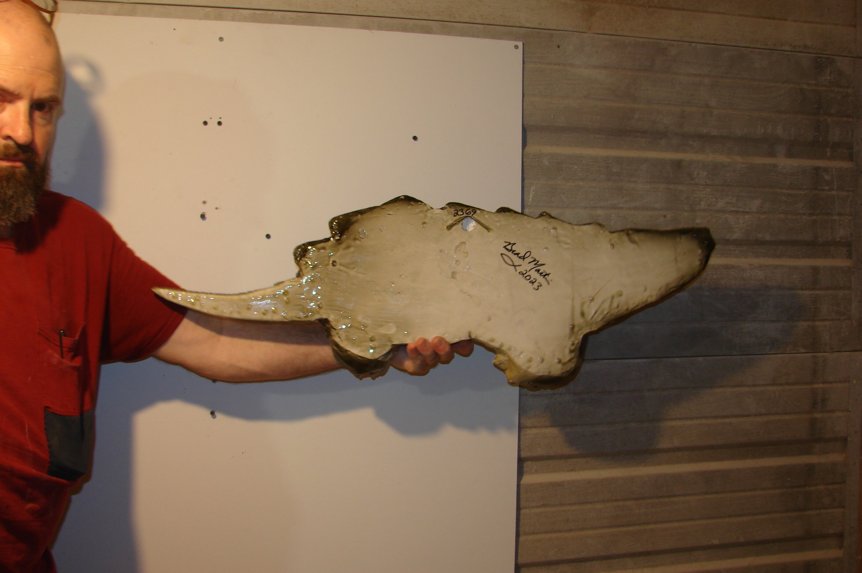 Hand Carved Alligator Snapping Turtle River Monster Wall Mount - Etsy