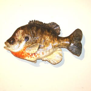Carved Bluegill Chainsaw Carving Bream Shellcracker Fish Fishing ...