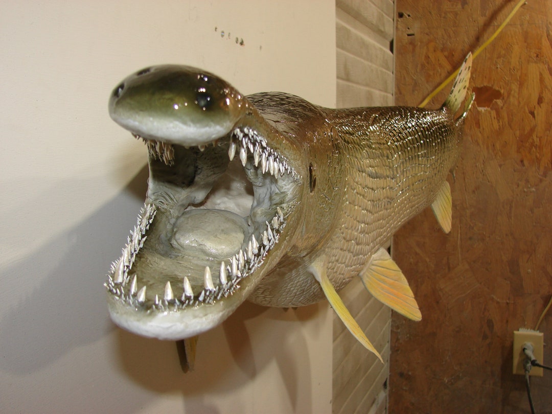 Another MONSTER 49 3D Alligator Gar Hand Carved Sculpted Signed ...
