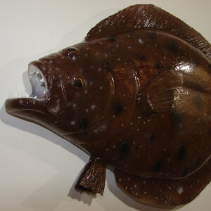 Flounder Fluke Wall Art Home Decor Sculpture Mount Taxidermy Fish ...