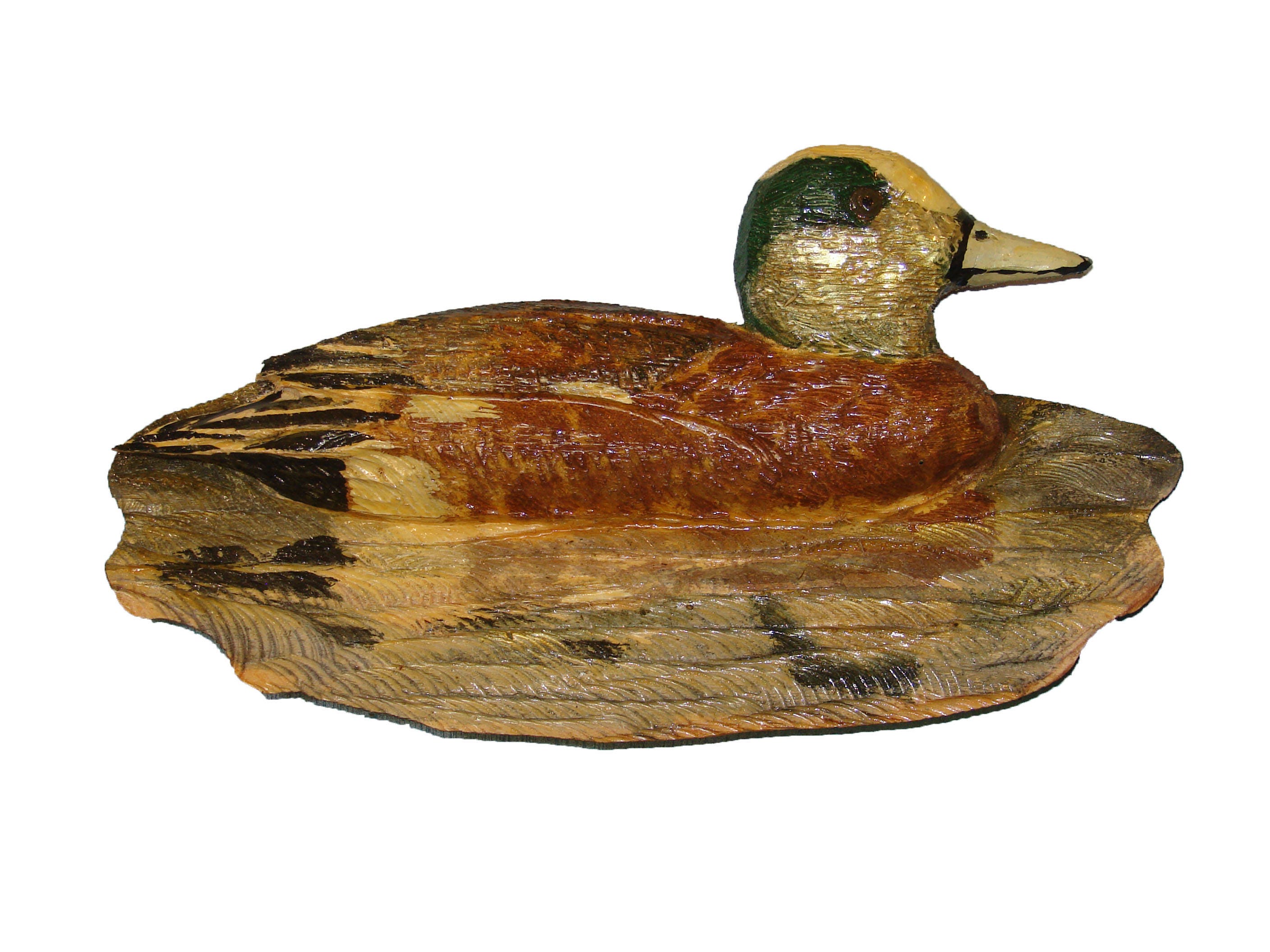 Hen Widgeon Mount