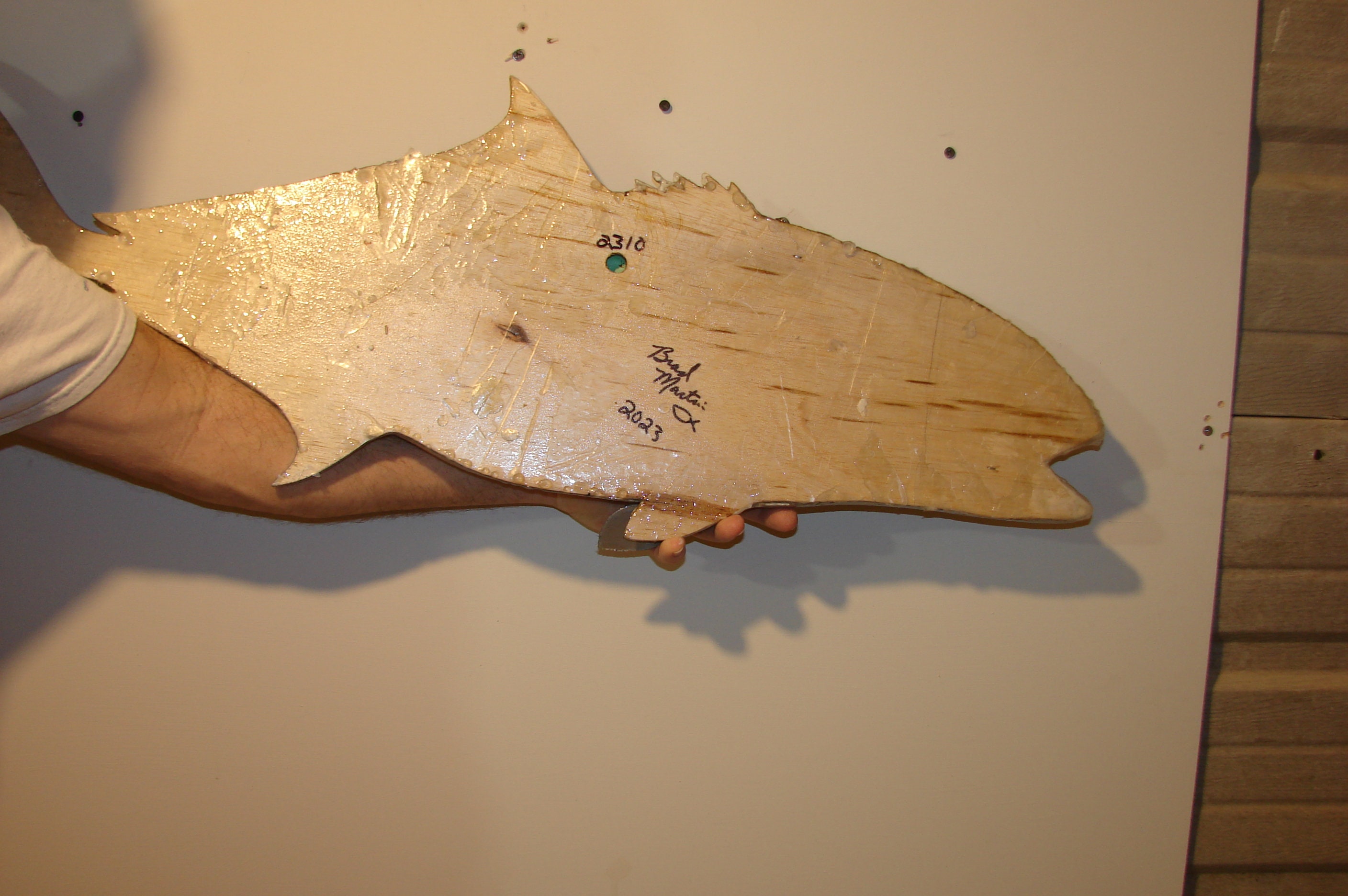 Amberjack Hand Made Wall Art Fish Mount Taxidermy Trophy - Etsy