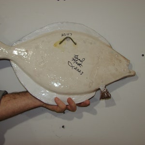 Flounder Fluke Wall Art Home Decor Sculpture Mount Taxidermy Fish ...