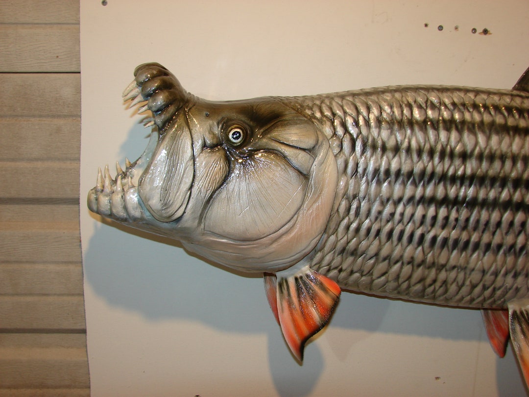 53" African Tigerfish Hand Carved Sculpted Replica Mount Wall Art ...