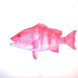Red Snapper Hand Carved Replica Wall Mount Sculpture Taxidermy Trophy Art Fish Fishing Mutton ...
