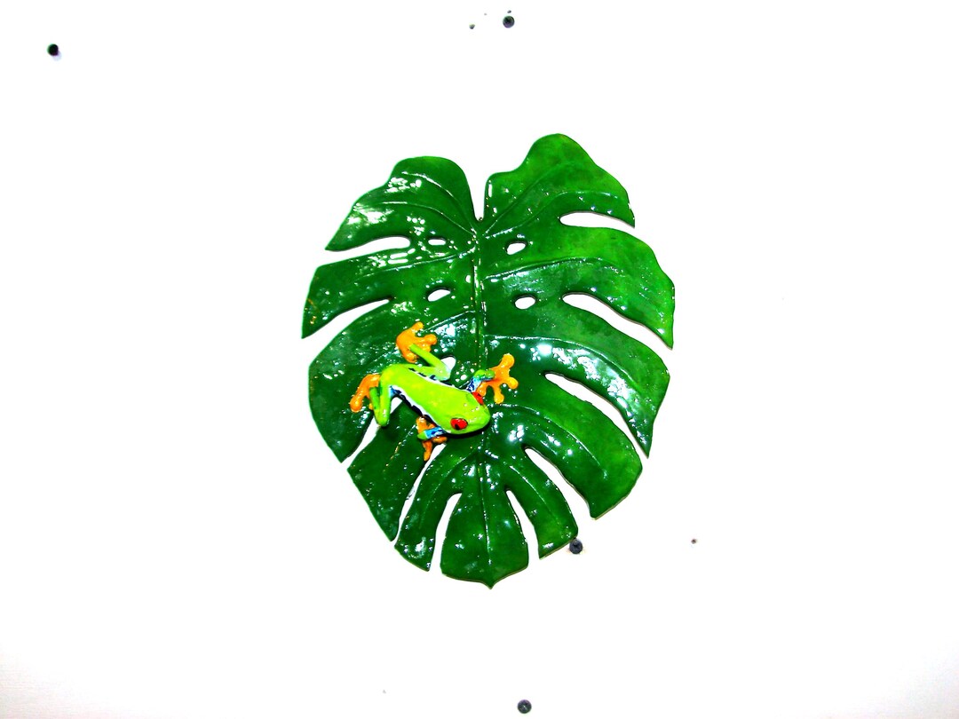 Red-eyed Tree Frog Poison Dart Eyelash Viper Snake Exotic Pets Wall Art ...
