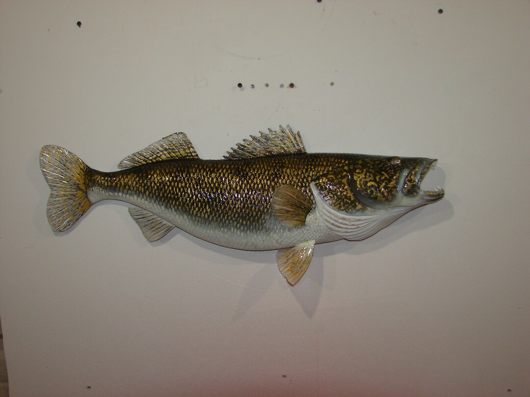 28 Walleye Replica Hand Made Sculpture Carving Muskie Northern Pike ...