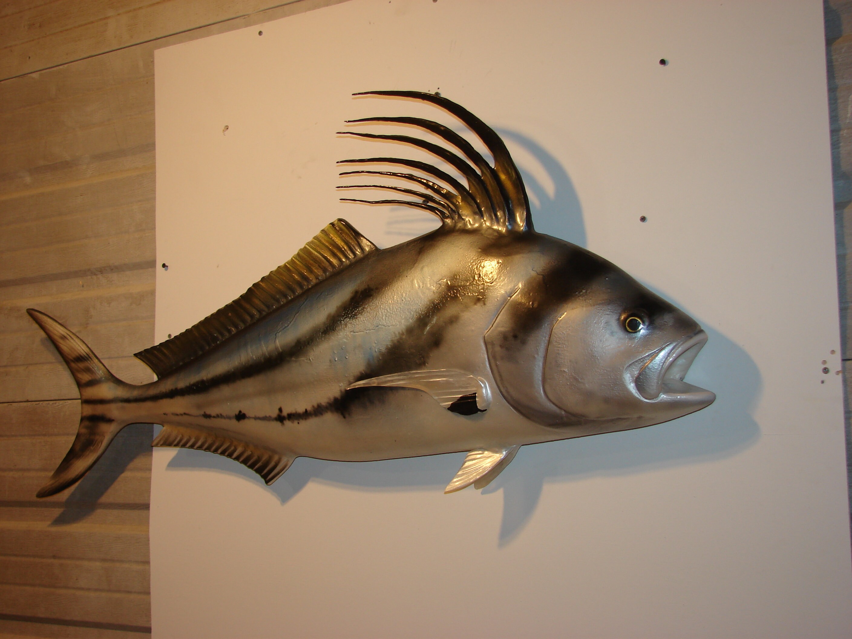 Roosterfish Hand Carved Rooster Fish Sculpted Trophy Taxidermy - Etsy