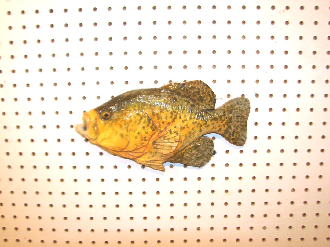 Black Crappie Carved Black Crappie Bass Chainsaw Carving Bream ...