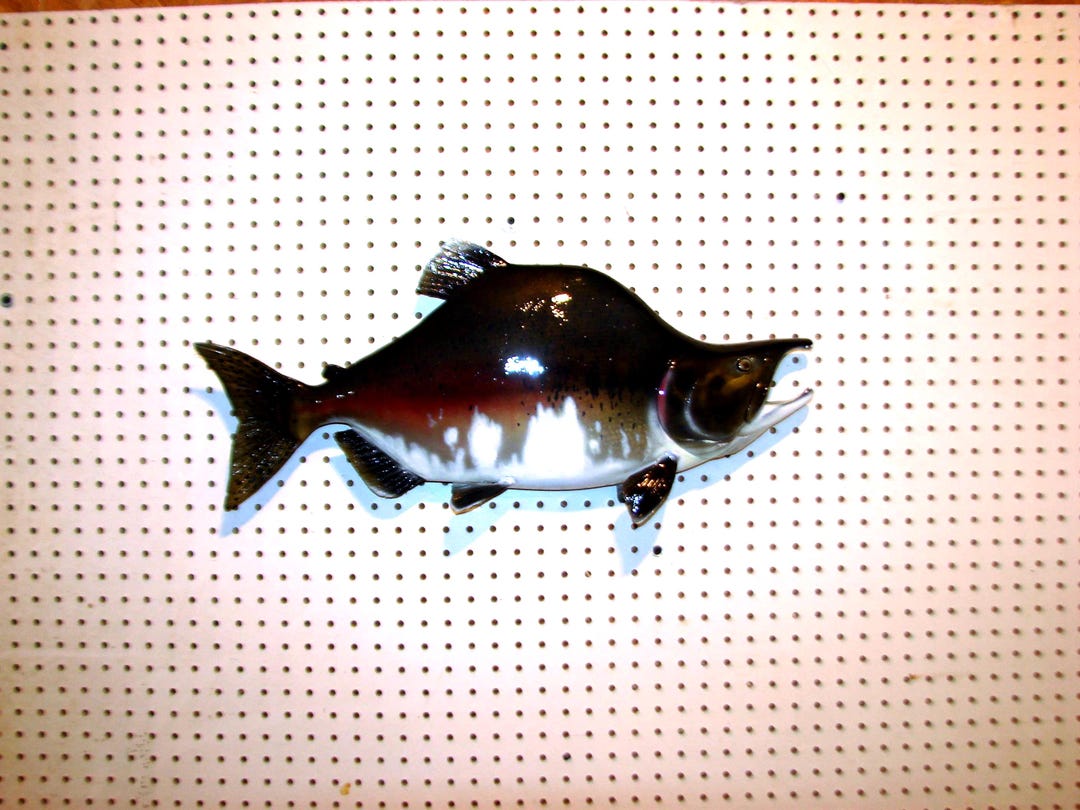 Pink Salmon Hand Carved Replica Wall Mount Sculpture Taxidermy Trophy ...