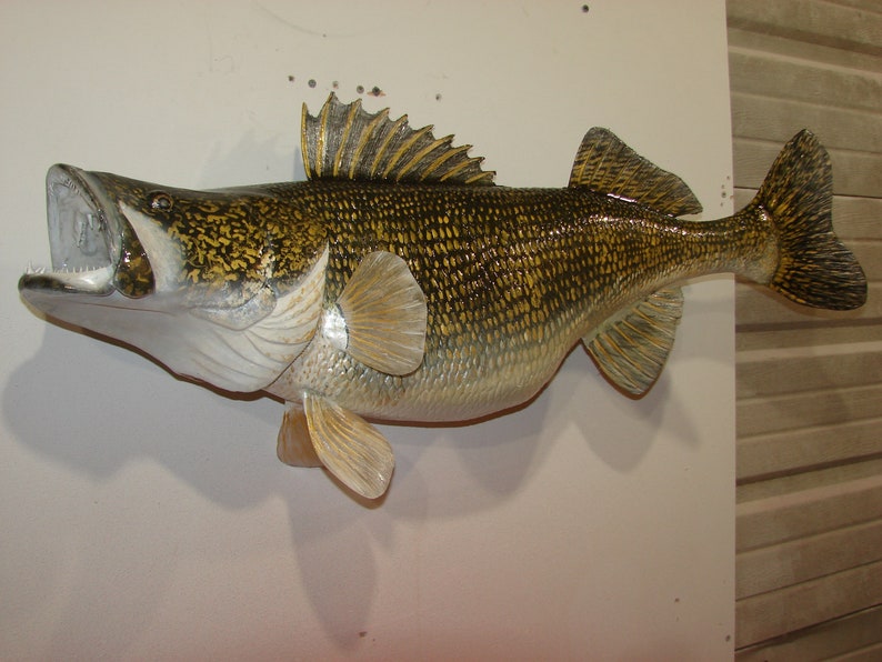 Walleye Replica Taxidermy Alternative Wall Mount Trout Pike Bass Mahi ...