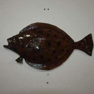 Flounder Fluke Wall Art Home Decor Sculpture Mount Taxidermy Fish ...