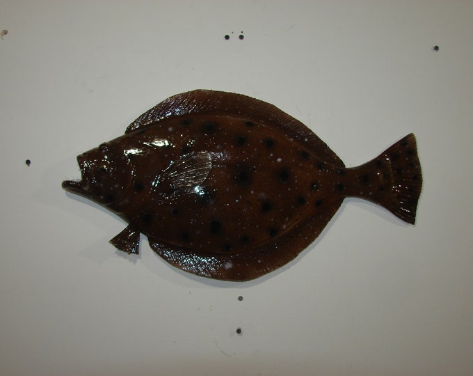 Flounder Fluke Wall Art Home Decor Sculpture Mount Taxidermy Fish ...