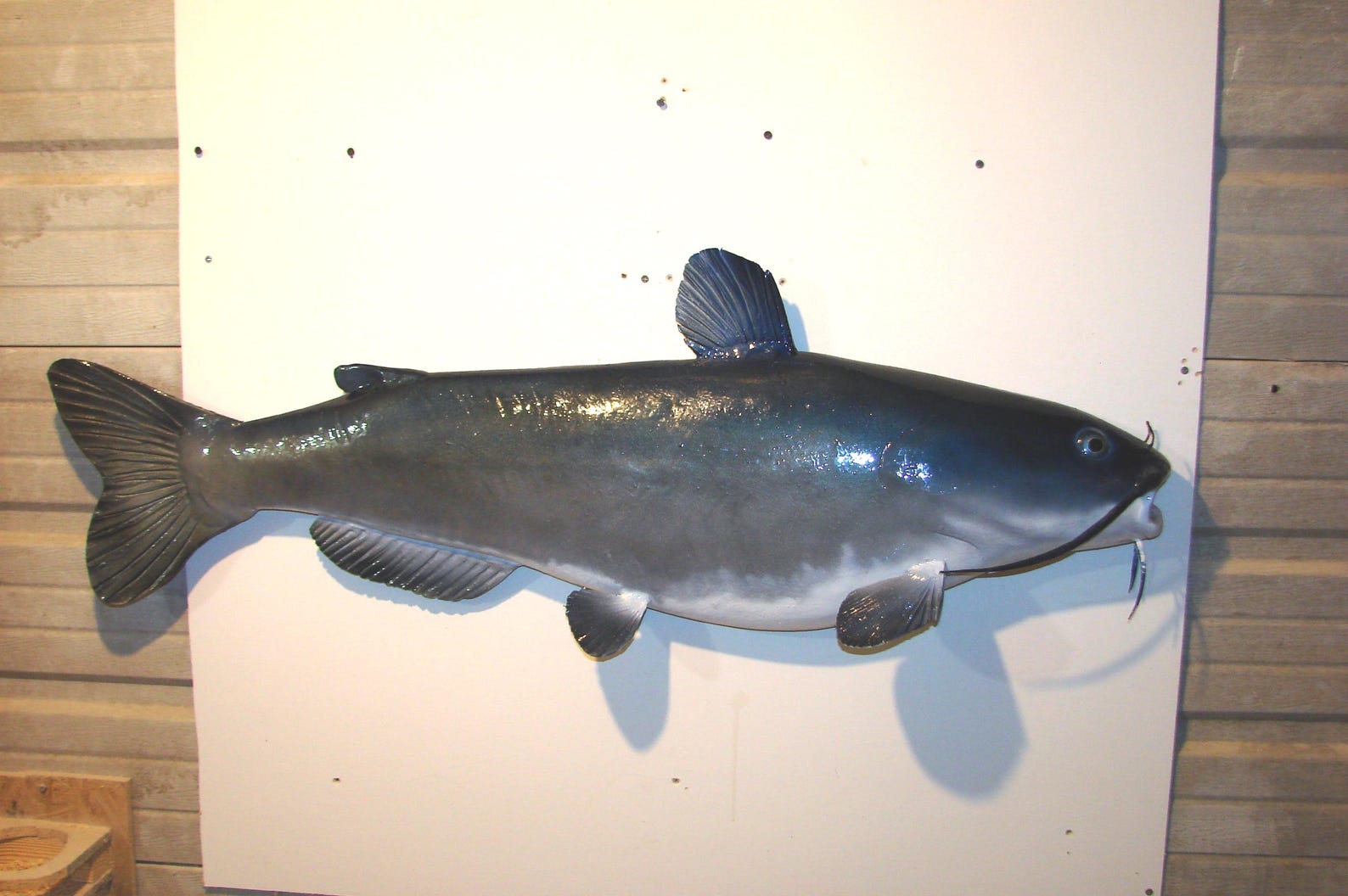 Catfish Carving Wall Mount Rustic Cabin River Lake Fish Wall Art Home ...