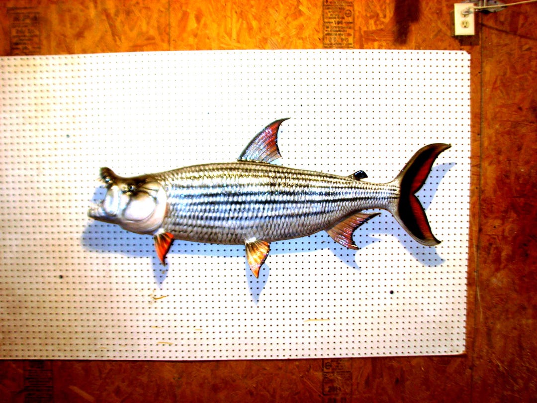 53" African Tigerfish Hand Carved Sculpted Replica Mount Wall Art ...