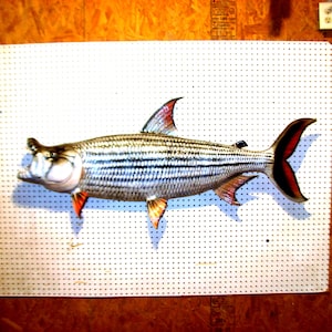 53" African Tigerfish Hand Carved Sculpted Replica Mount Wall Art ...