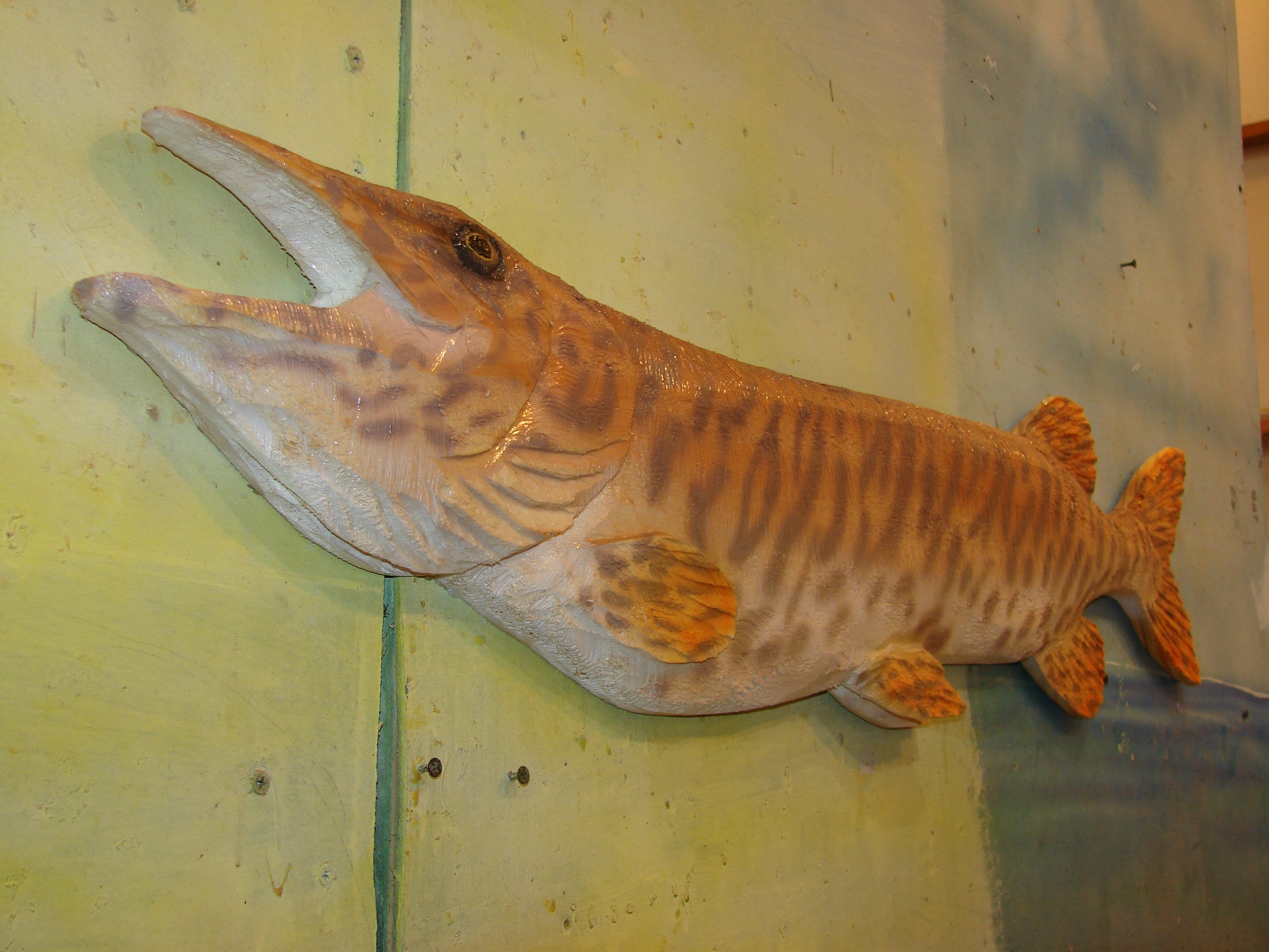 HUGE 44 Muskellunge Tiger Muskie Pike Original Wall Art by Brad Martin ...