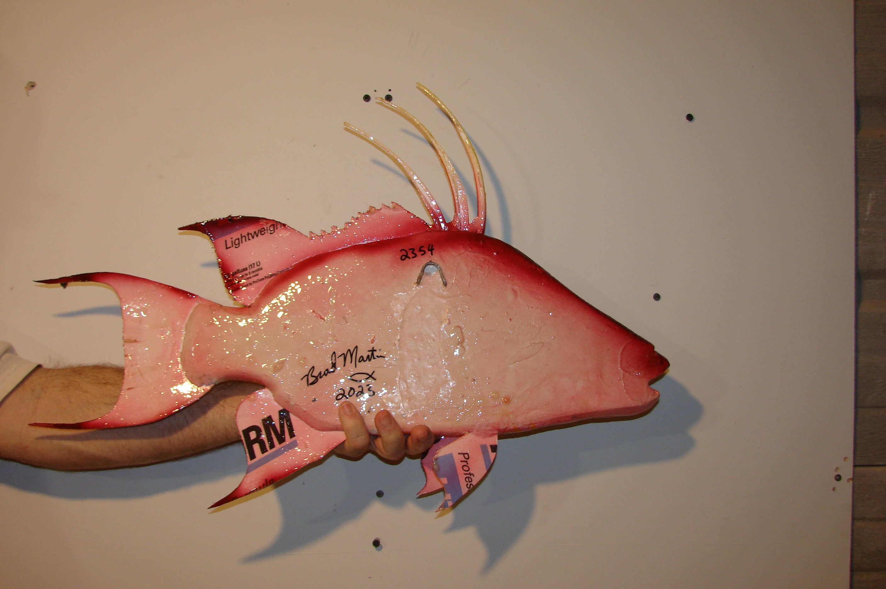 Hogfish Hand Carved Replica Wall Mount Sculpture Taxidermy Trophy Art ...