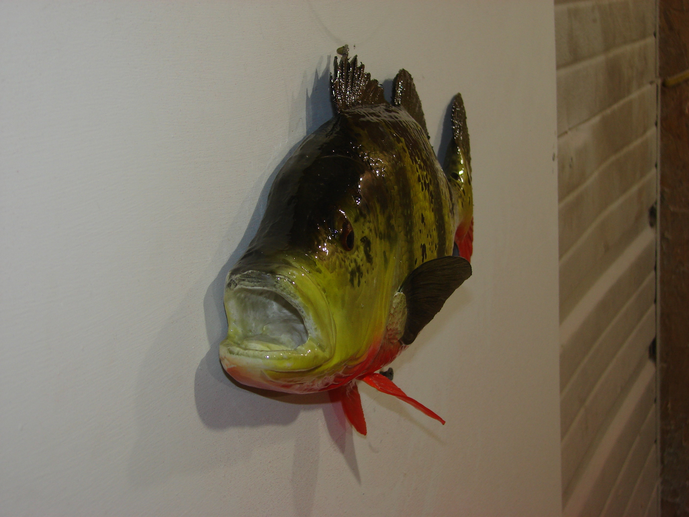 Peacock Bass Hand Carved Trout Mahi Redfish Snook Marlin Fish Cabin ...