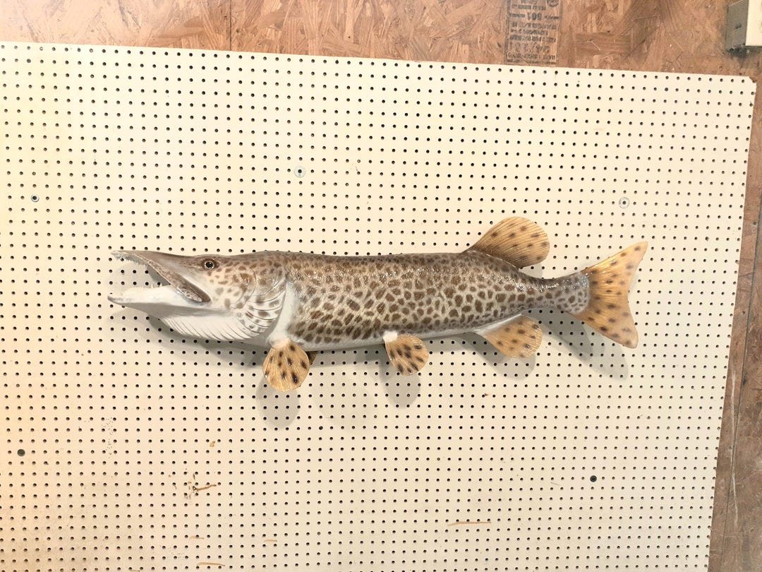 43" Muskellunge Replica Hand Made Sculpture Carving Northern Pike ...