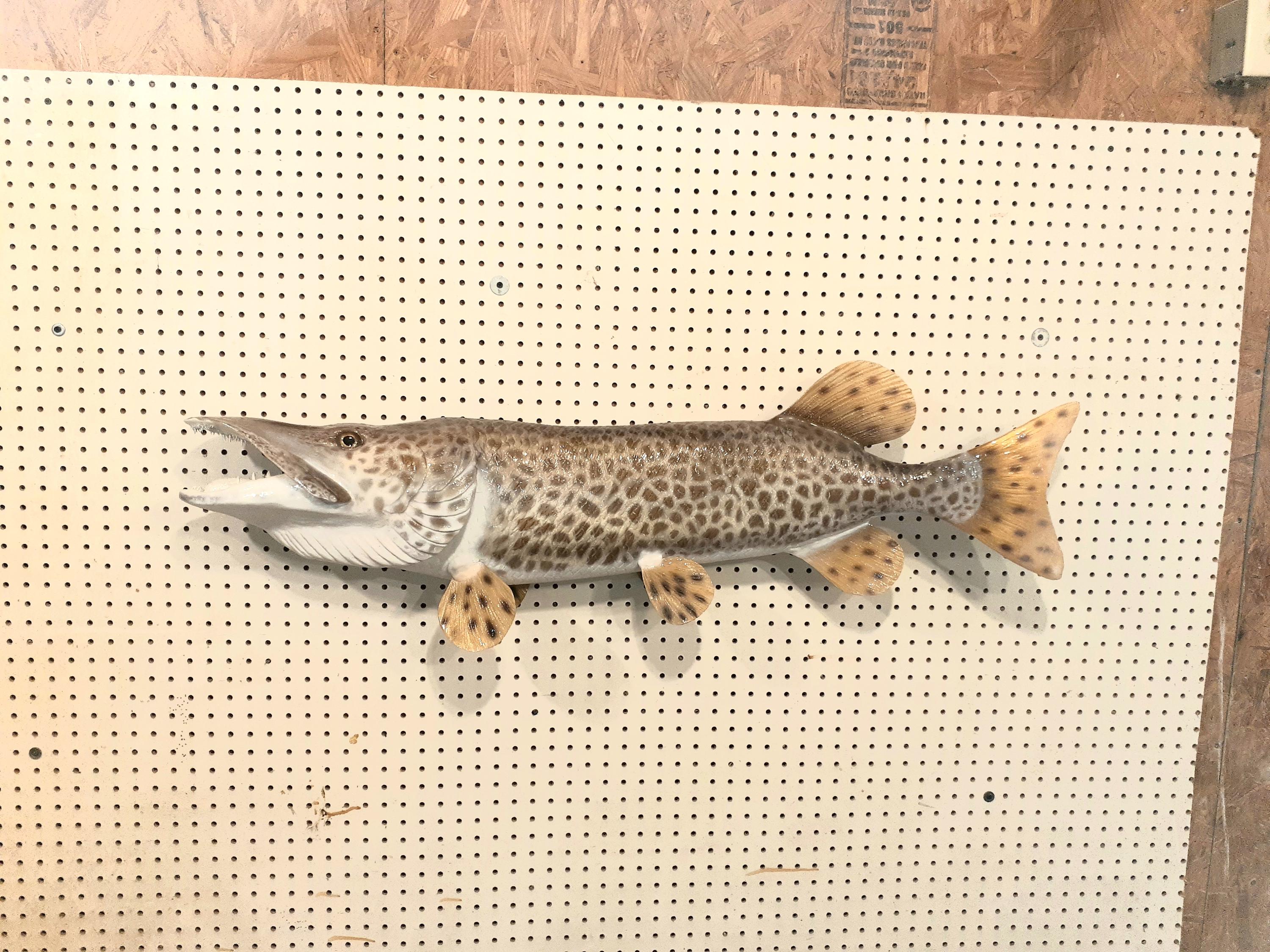 43" Muskellunge Replica Hand Made Sculpture Carving Northern Pike ...