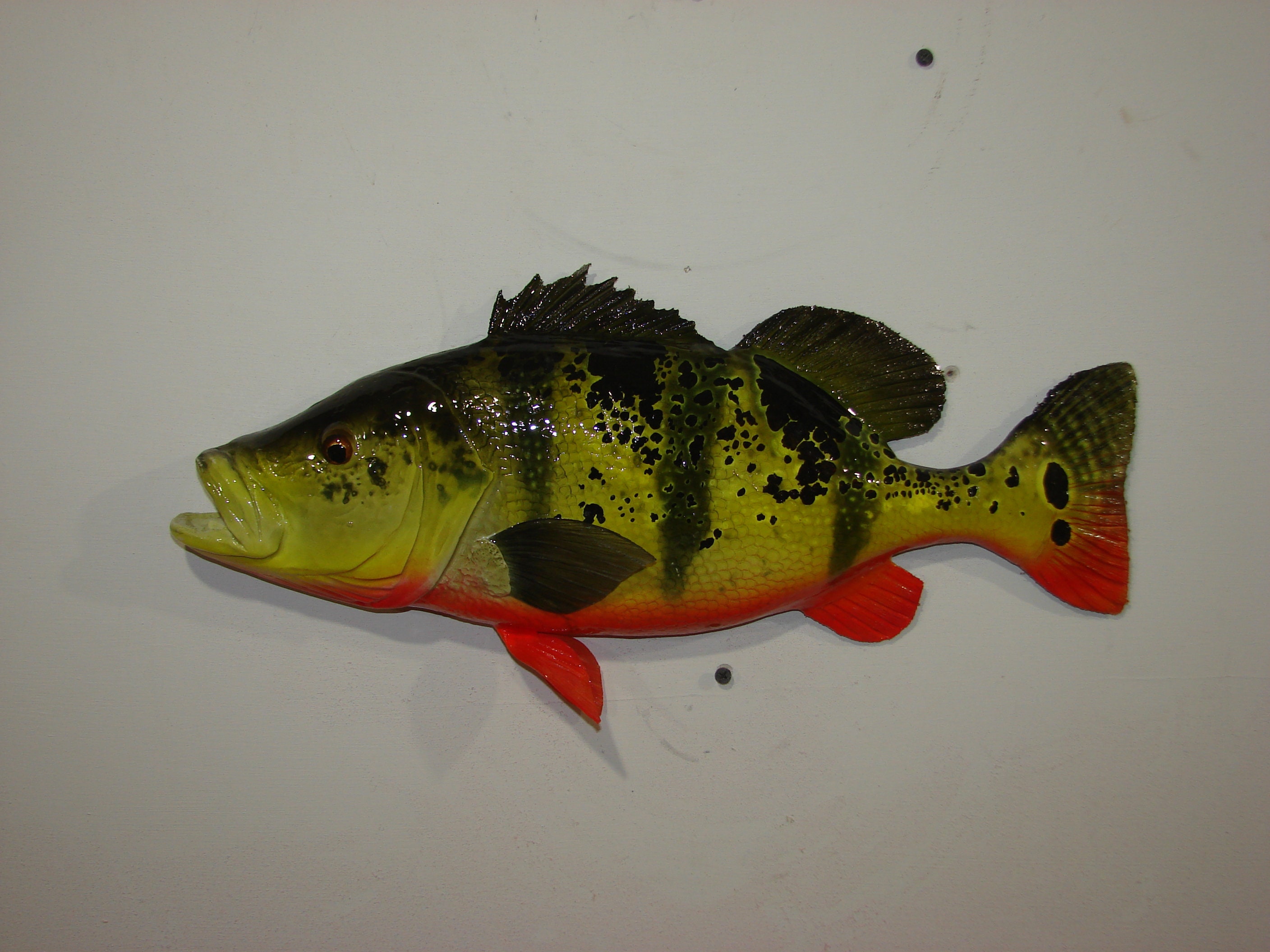 Peacock Bass Hand Carved Trout Mahi Redfish Snook Marlin Fish Cabin ...