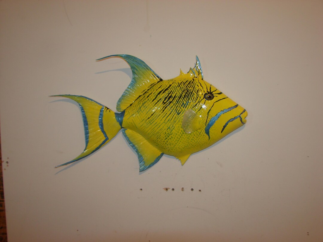 Queen Triggerfish Carving Trigger Fish Reef Diving Aquarium Palapa ...